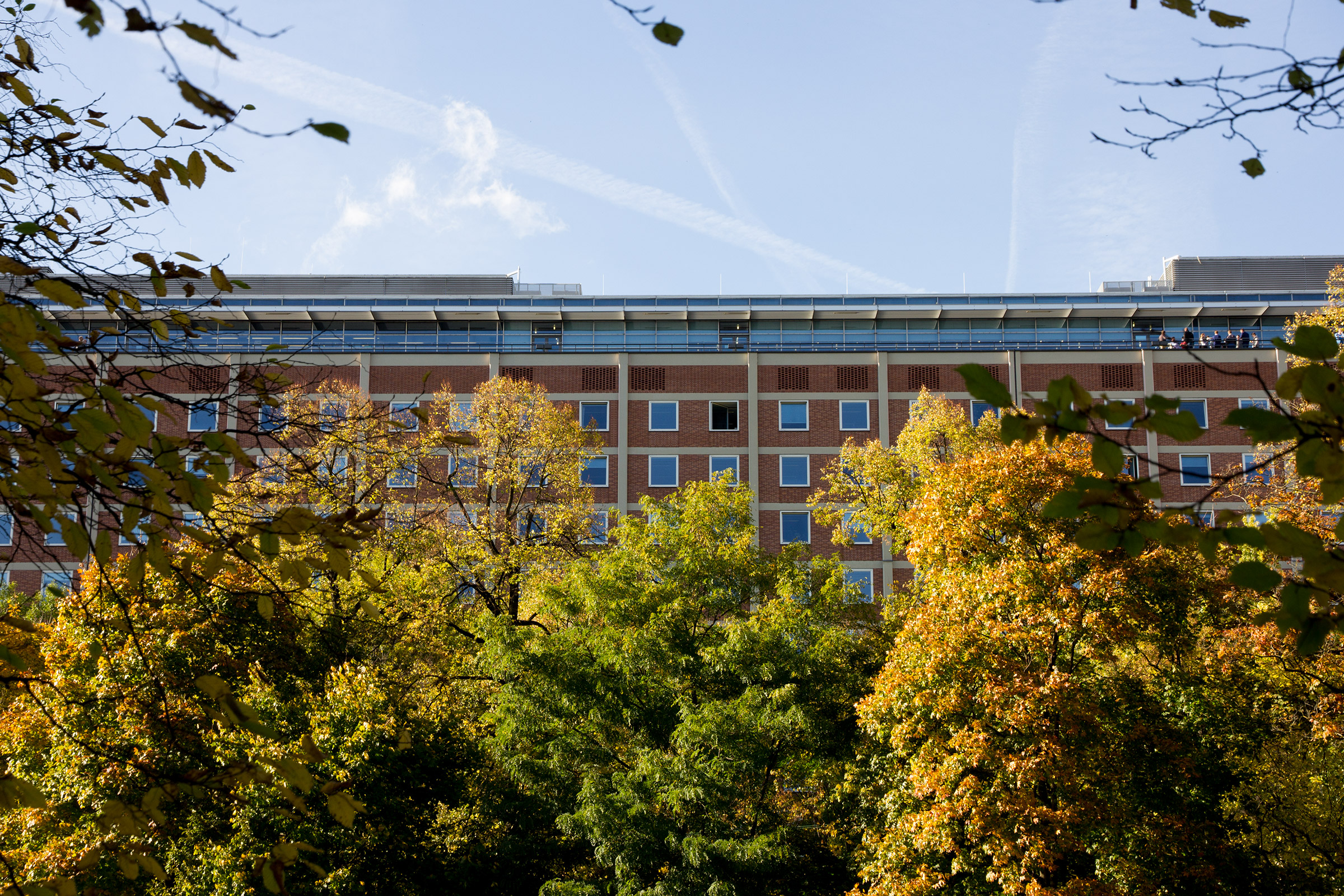 DPMA Deutsches Patent- und Markenamt - Startseite